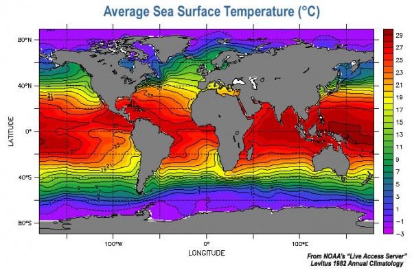 global_sst_map - LatitudScuba.Com