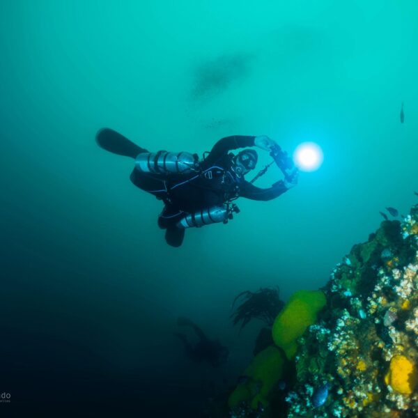 Latitud Scuba Club de Buceo - Cursos de Buceo Chile - Dive Rite - Bare